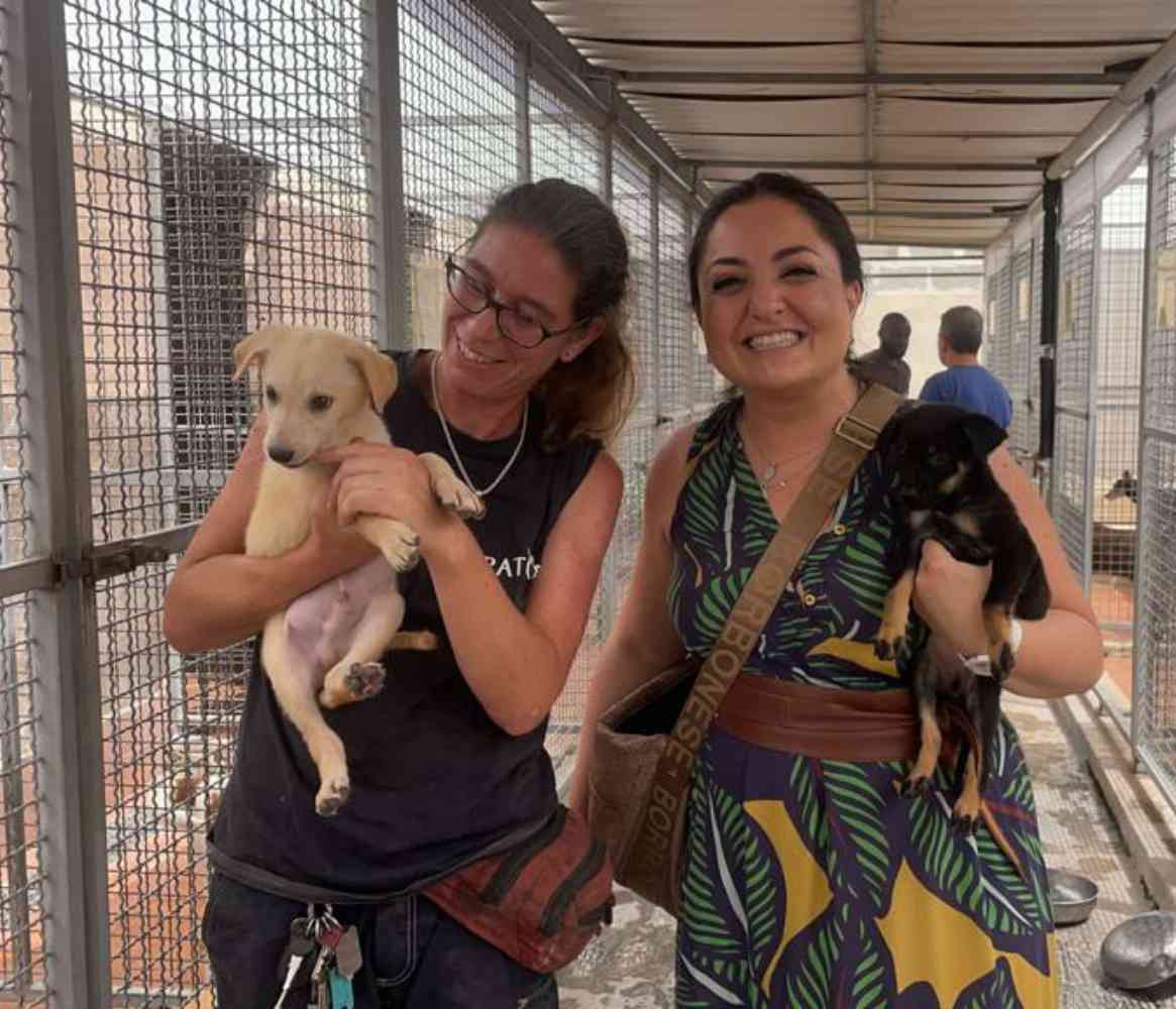 Taranto, canile comunale: aprirsi all'adozione - CosmoPolis