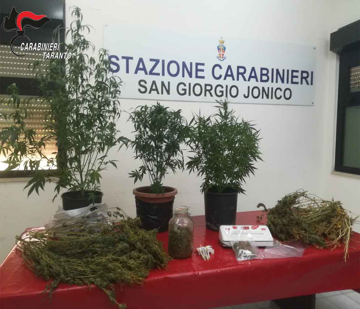 San Giorgio Ionico, produce droga in casa: arrestato 38enne - CosmoPolis